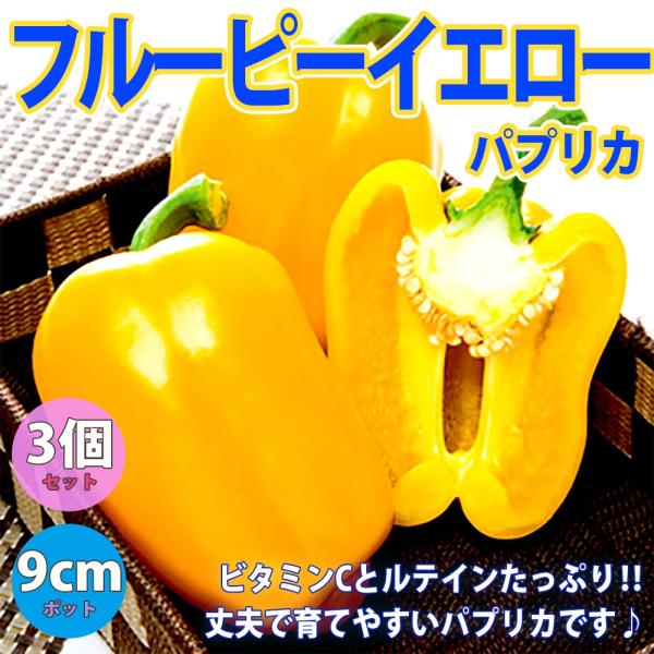 初期および、低温・少日照下でも安定した着果で育てやすい品種！肉が厚く、ビタミンCとルテインを豊富に含み、糖度が高く肉厚で食味良好です。果実は揃いのよいベル形で尻づまりが良い。【特徴】果実の大きさが120g前後で、果形はやや長めのベル型の黄色...