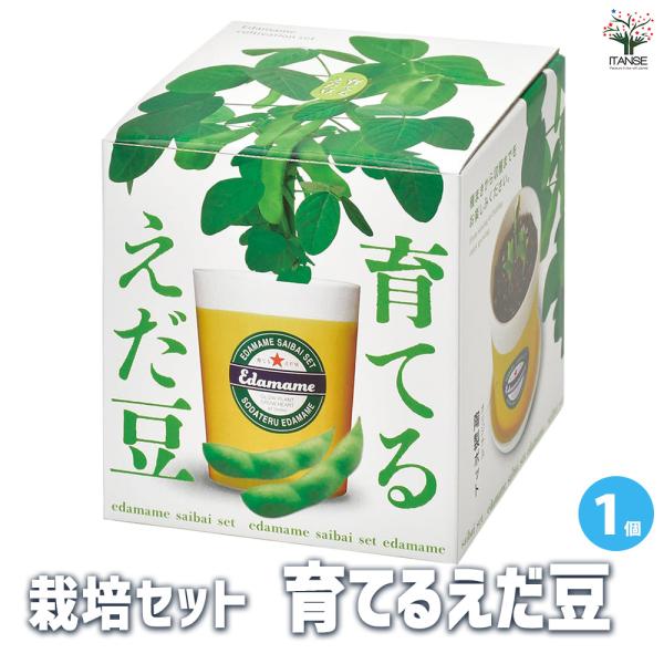 かわいいビール型ポット付き！培養土も付属しており、これひとつでガーデニングが始められます。個人で楽しむのはもちろん、父の日などのプレゼントにいかがでしょうか。えだまめは畑の肉と呼ばれるほど栄養価が高く、世代を問わずに愛食される人気の野菜です...