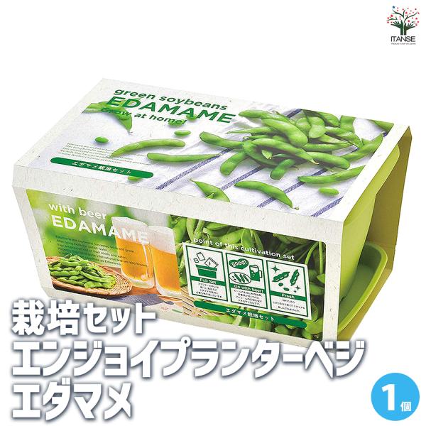 おしゃれなミニプランター付き！お部屋で育成する上で、ちょうど良いサイズ感です。培養土も付属しており、これひとつでガーデニングが始められます。個人で楽しむのはもちろん、プレゼントにも最適です。えだまめは畑の肉と呼ばれるほど栄養価が高く、世代を...