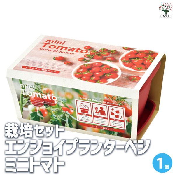 おしゃれなミニプランター付き！お部屋で育成する上で、ちょうど良いサイズ感です。培養土も付属しており、これひとつでガーデニングが始められます。個人で楽しむのはもちろん、プレゼントにも最適です。ミニトマトは、世代を超えて幅広く愛される健康野菜で...