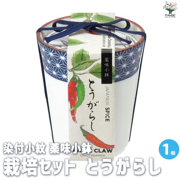 おうちで簡単にトウガラシが栽培できるキットです。染付の陶器鉢がついてきますので、そのまま観賞用のインテリアグリーンとしてもお楽しみいただけます。実がついたら、そのまま必要な分だけをもぎとることで、いつでもトウガラシを味わうことができます。料...