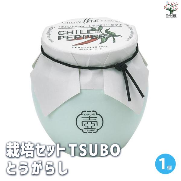 おうちで簡単にトウガラシが栽培できるキットです。ツボ型のおしゃれな陶器鉢がついてきますので、そのまま観賞用のインテリアグリーンとしてもお楽しみいただけます。実がついたら、そのまま必要な分だけをもぎとることで、いつでもトウガラシを味わうことが...