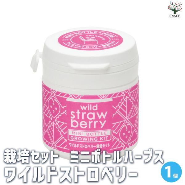 ボトルガムのようなポット付き！土・種も付属しており、これひとつでお手軽に植物を育てられます。そのまま飾れるビビットカラーのパッケージに、おしゃれなボトルガム風のポットは、お部屋やデスク周りを明るく楽しいムードにしてくれます。付属のワイルドス...