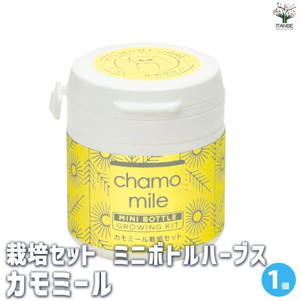 ボトルガムのようなポット付き！土・種も付属しており、これひとつでお手軽に植物を育てられます。そのまま飾れるビビットカラーのパッケージに、おしゃれなボトルガム風のポットは、お部屋やデスク周りを明るく楽しいムードにしてくれます。付属のカモミール...