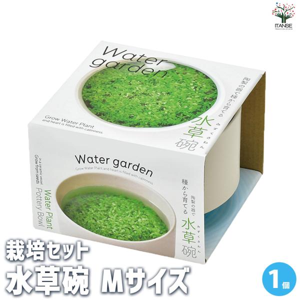 【商品特徴】種の状態から水草を育てられる、栽培キットです。陶器に土を入れ、種をまき、発芽したら水を張って育てるという簡単・手軽な工程で水草を育てられます。同梱されている陶器は岐阜県土岐市の美濃焼の窯元で作られた器を使用しています。涼やかな水...