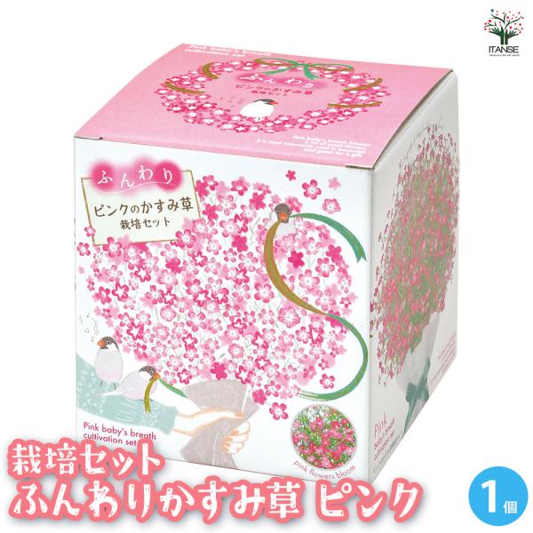 【商品の特徴】小さな花が集まって咲く、繊細で可愛らしい姿のかすみ草。最近ではナチュラルで控えめな雰囲気がトレンドになったこともあり、かすみ草だけを使ったフラワーギフトも人気です。花言葉は「感謝」「幸福」「親切」。ふんわりと優しい印象のかすみ...