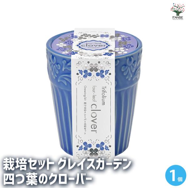 【商品の特徴】優美なエンボスデザインで釉薬の風合いを活かした、陶器製ポットで育てるシリーズ。パッケージにはシルバー箔をたっぷりと使用してちょっぴり高級感のある仕上がりに。ギフトにもぴったりの商品です。【検索キーワード】栽培セット 栽培キット...