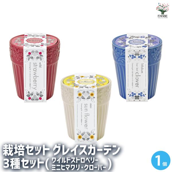 【セット内容】 計：3箱グレイスガーデン ワイルドストロベリー 1箱 グレイスガーデン ミニヒマワリ 1箱グレイスガーデン 四つ葉のクローバー 1箱【商品の特徴】優美なエンボスデザインで釉薬の風合いを活かした、陶器製ポットで育てるシリーズ。...