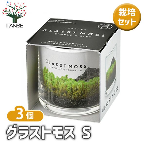 手軽にテラリウム、コケリウムを始められる栽培キットです。1.黒砂を入れる2.スナゴケを置く3.溶岩石を置くだけで完成するので、あっという間におしゃれな苔テラリウムが楽しめます。また、フィギュアや小物を添えることで、自分だけのテラリウムを作る...