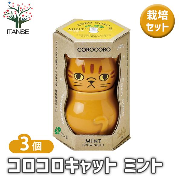 【商品の特徴】 ミントは爽やかな香りとスーッとした清涼感があり、お菓子や飲み物、肉料理などに幅広く利用されています。 多年草の丈夫で育てやすいハーブです。 猫たちがコロンとお座りしたような姿の底面給水栽培キット。 頭と体が分かれていて、体の...