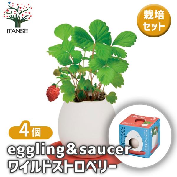 【商品特徴】egglingとオリジナルデザインのソーサーがセットです。たまごのフォルムに合う丸みを帯びたシルエットと選ぶのが楽しくなるカラーにこだわって専用ソーサーをデザイン。いくつも並べて飾るとお部屋はさらに明るいムードに！受け皿を用意す...