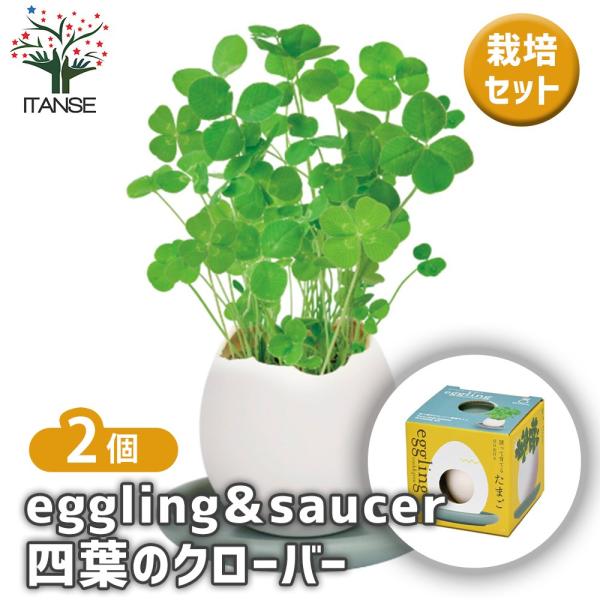 【商品特徴】egglingとオリジナルデザインのソーサーがセットです。たまごのフォルムに合う丸みを帯びたシルエットと選ぶのが楽しくなるカラーにこだわって専用ソーサーをデザイン。いくつも並べて飾るとお部屋はさらに明るいムードに！受け皿を用意す...