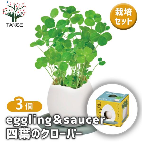 【商品特徴】egglingとオリジナルデザインのソーサーがセットです。たまごのフォルムに合う丸みを帯びたシルエットと選ぶのが楽しくなるカラーにこだわって専用ソーサーをデザイン。いくつも並べて飾るとお部屋はさらに明るいムードに！受け皿を用意す...