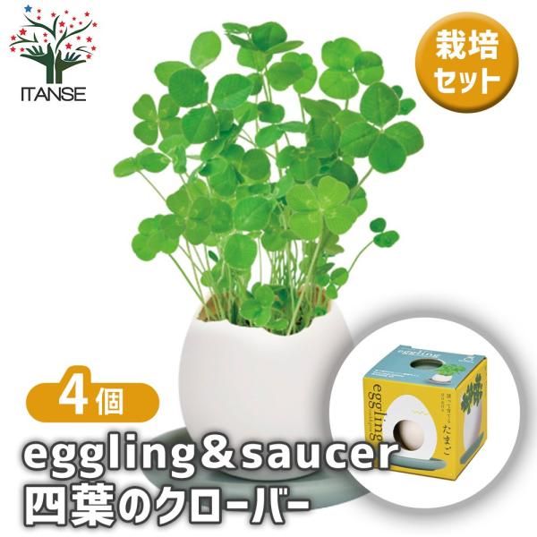 【商品特徴】egglingとオリジナルデザインのソーサーがセットです。たまごのフォルムに合う丸みを帯びたシルエットと選ぶのが楽しくなるカラーにこだわって専用ソーサーをデザイン。いくつも並べて飾るとお部屋はさらに明るいムードに！受け皿を用意す...