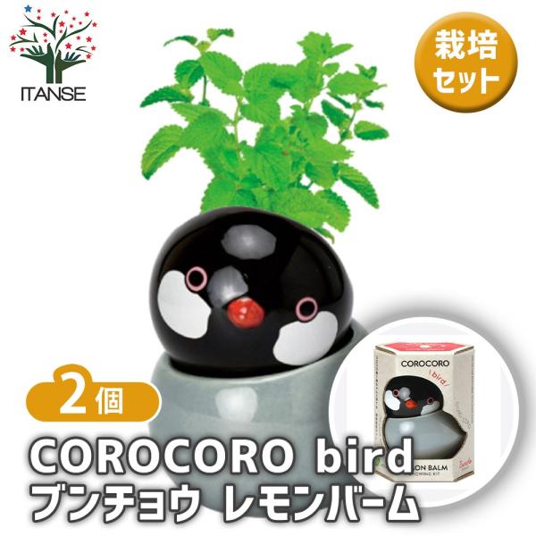 【商品特徴】大人気のコロコロシリーズに、カラフルな小鳥たちが仲間入り！体の中に水を溜めて、頭の上で小さな植物を育てます。前を向いたり首をかしげたり...コロコロとポーズに変化をつけて小鳥たちの可愛いしぐさと小さな緑に癒されよう。【検索キーワ...