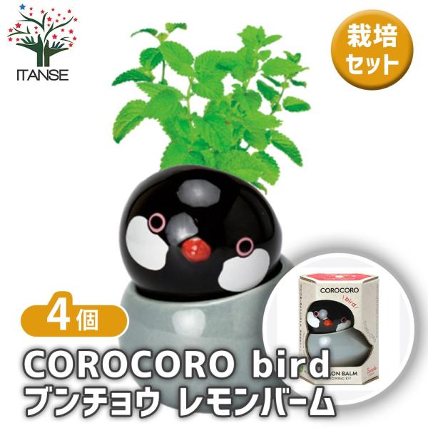 【商品特徴】大人気のコロコロシリーズに、カラフルな小鳥たちが仲間入り！体の中に水を溜めて、頭の上で小さな植物を育てます。前を向いたり首をかしげたり...コロコロとポーズに変化をつけて小鳥たちの可愛いしぐさと小さな緑に癒されよう。【検索キーワ...