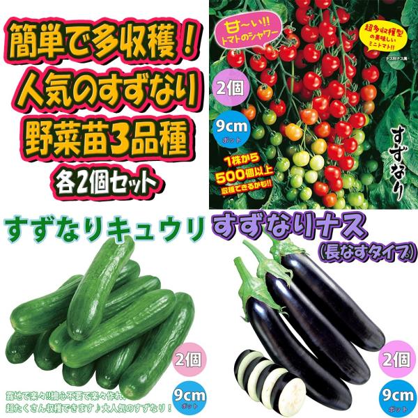 人気の"すずなり"野菜苗のお買い得3品種セット！色々な野菜苗をたくさん収穫したい場合にオススメ！人気品種ばかりを集めましたので、プレゼントにもオススメです！【セット商品の品種】・すずなりトマト・すずなりキュウリ・すずなりナス【検索キーワード...