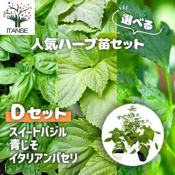 大人気の定番ハーブセットです。どれも人気ハーブで、お好みにあわせてお選びください。【セット内容】 ※各1個Aセット：スイートバジル、青じそBセット：スイートバジル、イタリアンパセリCセット：青じそ、イタリアンパセリDセット：スイートバジル、...