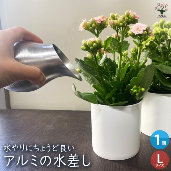【商品の特徴】大切な植物へかかせない水やりにぴったり。ジョウロでは大きすぎるような、小さな植木鉢に適しているサイズの水差しが登場しました。水差しの他に、おしゃれなフラワーベースしてもご使用いただけます。使わないときはインテリアにもぴったりで...