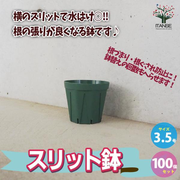 【特徴】・根詰まりや根腐れを防止出来る・根張りが良くなり根・茎・葉の生長が良くなる・根のサークリングが抑えれるので、鉢替えの回数が減らせる・底面給水で多肉植物など水管理が楽になる・軽量ですので、鉢の移動が楽になる側面にまで大きいスリット(切...