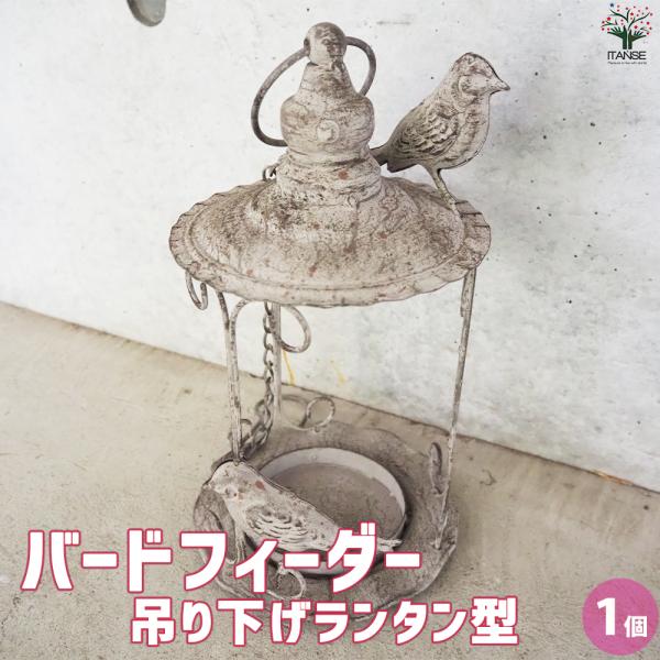 エサを食べに来た小鳥の姿を観察できる、バードフィーダーです。お庭やベランダなどで、身近にバードウォッチングを楽しむことができます。本商品は吊り下げ型なので、フックなどがありさえすれば、自由に設置することができます。インテリアとしても美しく、...