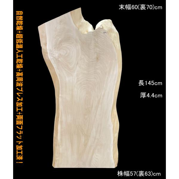 天板のみ【無塗装品・脚部別途】　◆全国都道府県 送料無料◆白栃 無垢 一枚板 寸法：長145cm× 末幅60cm(裏70cm)〜中間幅49cm(裏58cm)〜株幅57cm(裏63cm) × 厚4.4cm 約20kgこの板の良い所超人気の栃！...