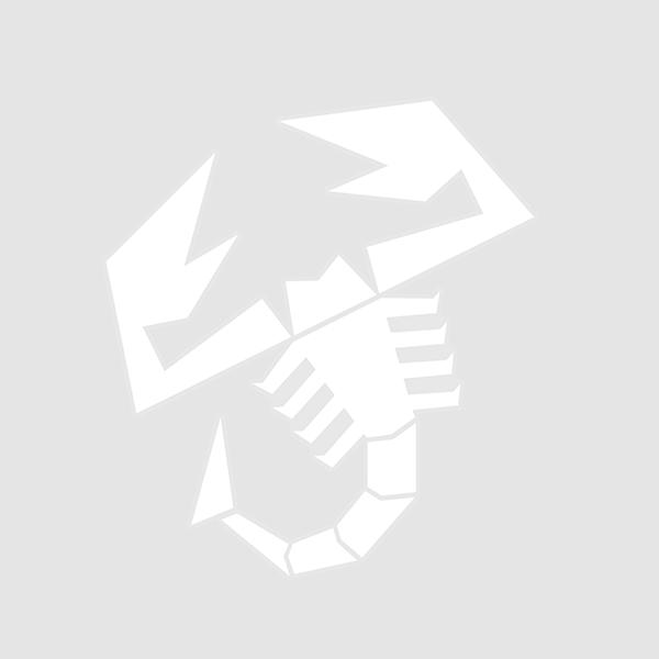 100mm(幅)×97mm(縦)ABARTH純正アクセサリーにラインナップされるステッカーです。こちらはABARTHのシンボル、スコーピオン/サソリをモチーフにしたステッカーです。スコーピオンの形に抜かれたものですが、いわゆる抜き文字タイプ...