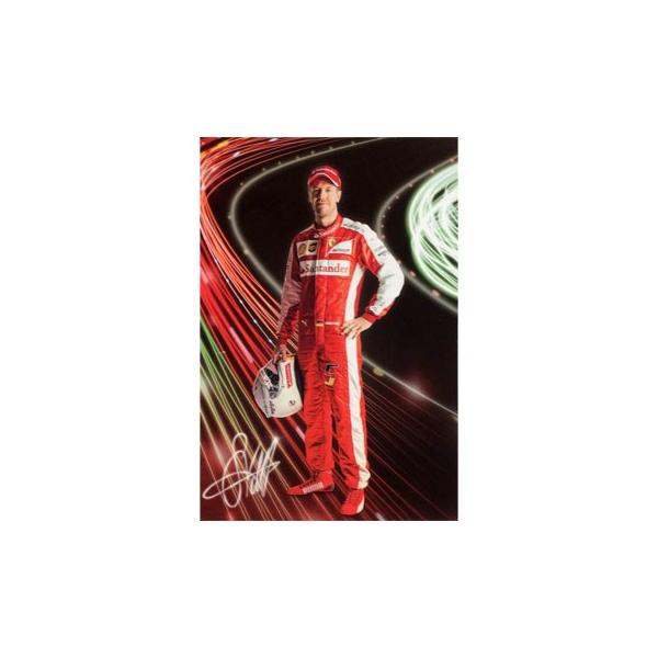 130mm(幅)×195mm(縦)毎年、シーズン開幕前にリリースされるプロモーションカード。こちらはその2015年ヴァージョンです。といえばもちろん注目のS.Vettel。Red Bullでの華々しい活躍に別れを告げ、新天地でワールドタイト...