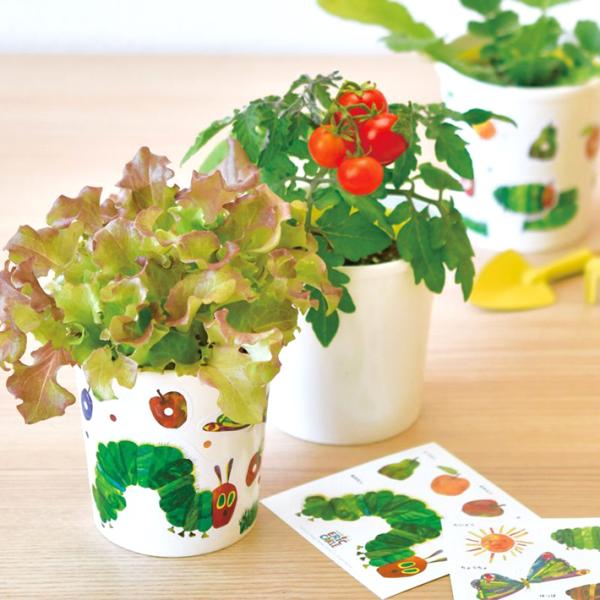 ●植物をすくすく育てて、家族で楽しく学んじゃおう！●はらぺこあおむしのシールを自由に貼って、オリジナルポットが完成！●土の準備や種まきをさらに簡単＆安全にできる、子ども向け栽培セット。●お子さまが「自分でできた！」と感じられる工夫をこらしま...