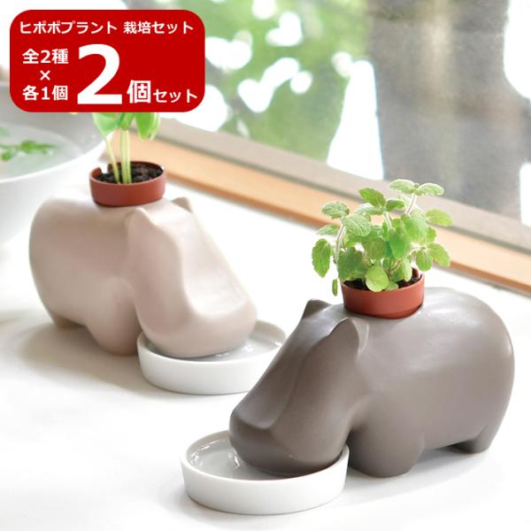 ●丸みをおびたフォルムのカバが水を飲んで、背中で植物を育てます。●あたたかみのあるブラウンとベージュの釉薬はインテリアにマッチしつつ、お部屋にさりげなくユーモアを添えます。●陶器のカバは職人がひとつひとつ丁寧に仕上げた瀬戸焼。●付属の受け皿...