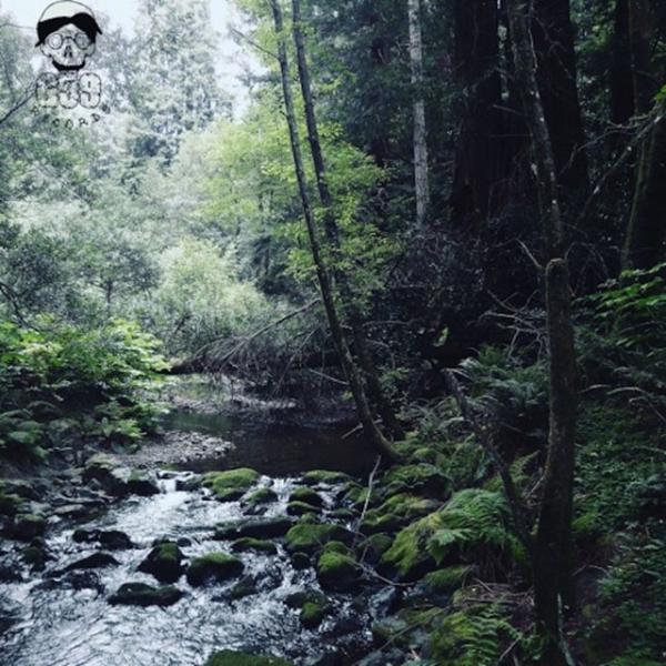 商品発送元：IITIGHT MUSIC -SHIBUYA-CD・DVD・楽器、CD、洋楽、ラップ・ヒップホップ2016Bay Area1. The River Is Getting Colder2. I Fell in Love With ...