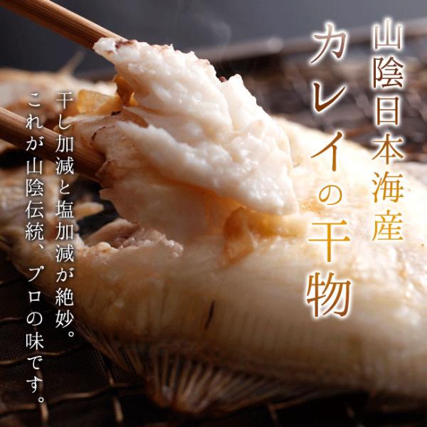 商品発送元：朝市広場〜城崎温泉　松葉ガニ＆海産物〜フード・菓子、水産物・水産加工品、その他商　品　詳　細商品内容カレイ一夜干し（中サイズ10枚前後）原材料名／かれい（兵庫県産）、食塩販売者／朝市広場（兵庫県豊岡市城崎町湯島587）※自然のも...