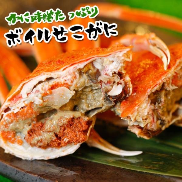 商品発送元：朝市広場〜城崎温泉　松葉ガニ＆海産物〜フード・菓子、水産物・水産加工品、カニ同梱おすすめ！「少しだけ食べてみたい！」「一人分追加で買いたい！」そんな方におすすめです！ 商品到着後はそのままお召し上がり下さい。ご注文確定後の変更・...
