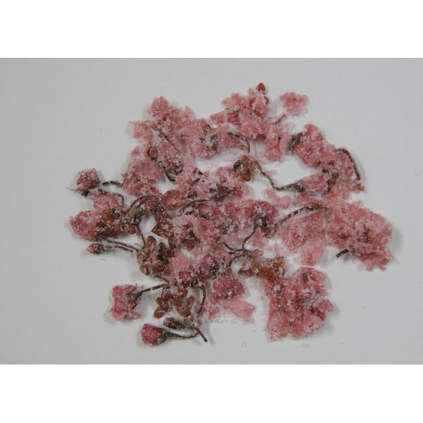 商品発送元：お茶通販　池川園茶舗内容量：1Ｋｇドリンク・アルコール、日本茶、その他の日本茶日本を代表する花の桜。おめでたい席や来客のおもてなしに、是非お楽しみ下さい。ほんのりとした桜の香りとあでやかに桜花が湯の中で満開となり、風情がなごやか...