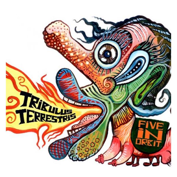 商品発送元：Clara MusicCD・DVD・楽器■アーティスト：Five In Orbit■ラインナップ：Ramon Fossati - tromboneOlivier Brandily - alto saxophone, fluteL...