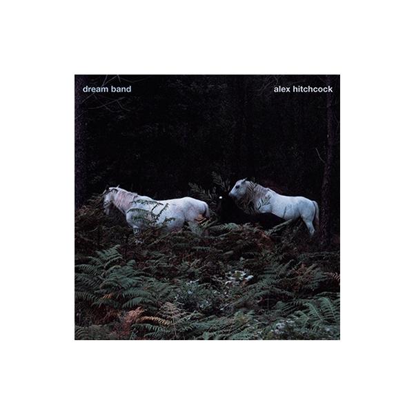 商品発送元：Clara MusicCD・DVD・楽器■ラインナップ：Alex Hitchcock tenor sax, withTracks #1 &amp; 10: Deschanel Gordon, piano; Will Sach, ...