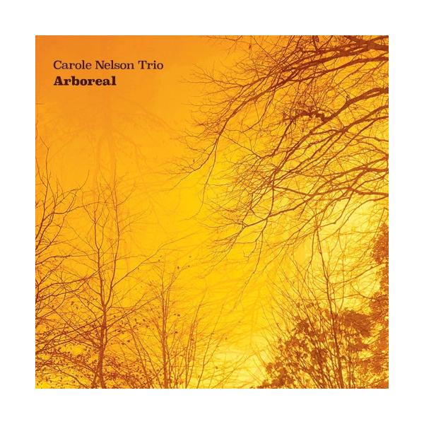 商品発送元：Clara MusicCD・DVD・楽器ロンドンに生まれ、現在はアイルランド在住の女性ピアニストによる、ピアノトリオとしての録音としては第 2 弾にあたる本作。ノルウェーのTord Gustavsen やポーランドのMarcin...