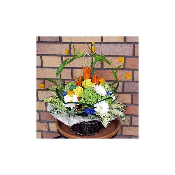 商品発送元：シンコーフラワーセンターガーベラ・チューリップ・サンダーソニア等フラワー・ガーデニングサイズ : 高さ　35 cm 幅　25 cm 奥行き　25 cm使用花材 : ガーベラ・チューリップ・サンダーソニア等
