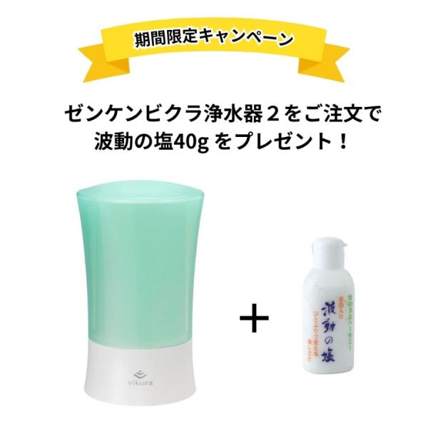 商品発送元：本物ショップ　えがおのたねヘルス・ダイエット※本商品は、期間限定キャンペーン商品です。【キャンペーン期間】〜 2026年7月31日（金）午前11時迄【キャンペーン内容】ゼンケンビクラ浄水器2 (グリーン）をご注文で、「波動の塩 ...
