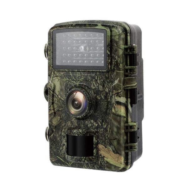 商品発送元：ファーマン｜和コーポレーション公式オンラインストアフラワー・ガーデニング型式            SP-TRL            本体寸法            幅100×奥行55×高さ135mm            本...