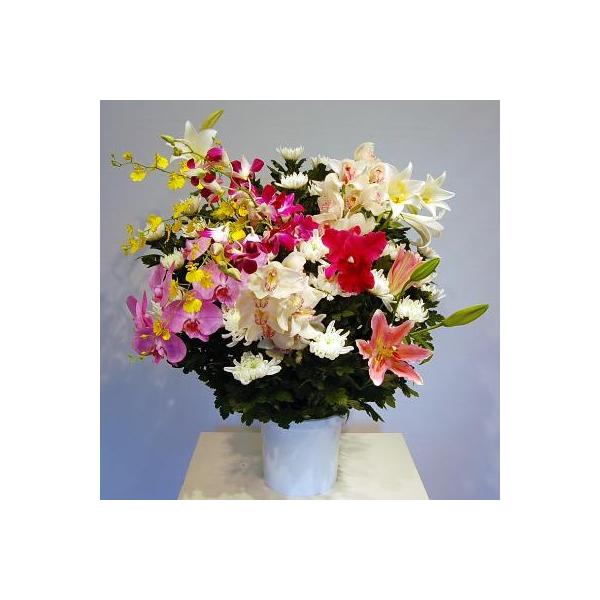 商品発送元：florist-karenフラワー・ガーデニングサイズ　：　幅約55cm　×　高さ約70cm◆◆◆◆◆◆◆◆◆◆◆◆◆◆◆◆◆◆◆◆◆◆◆◆◆◆◆◆◆◆◆◆◆◆◆◆◆◆◆◆※重要事項※　Yahoo!ショッピングサイトにてご注文の...