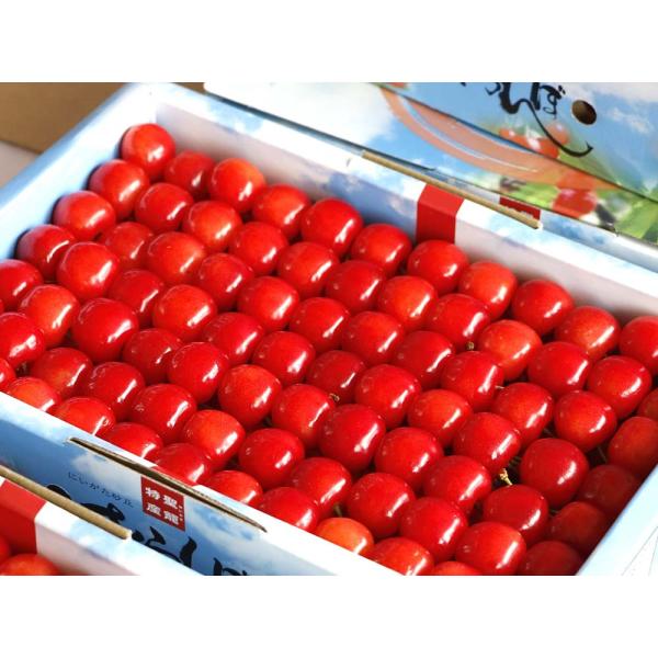商品発送元：ガタ市フード・菓子「赤い宝石」とも呼ばれる佐藤錦を贈答用にてお届け！生産地聖籠町内容量約500ｇ（Ｌ〜2Ｌサイズ）発送日目安6月15日以降より順次出荷予定発送時期6月消費期限冷蔵保存にて1週間程度