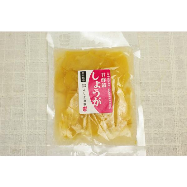 商品発送元：ハート.netshopフード・菓子自然栽培の新生姜を使用したやさしい味の甘酢漬です。        商品情報        商品名        しょうが甘酢漬        原材料名        しょうが（国産、肥料・農薬・...