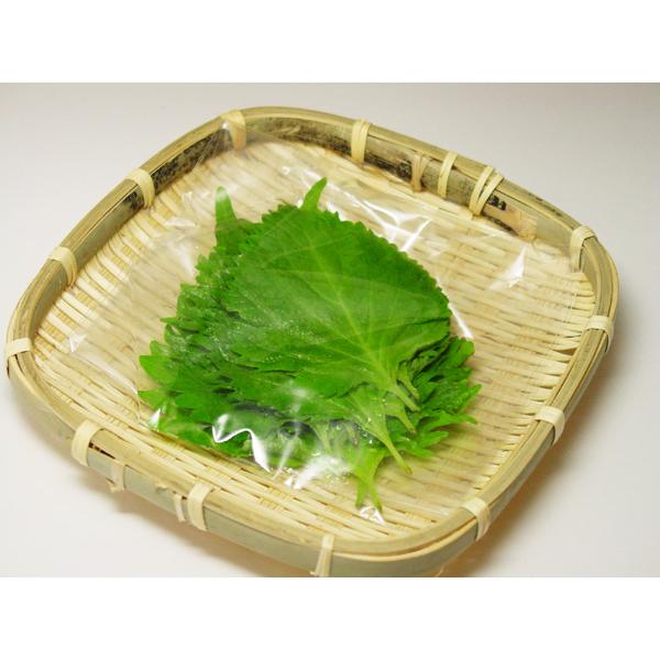 商品発送元：ハート.netshopフード・菓子大葉は、カロチンやビタミンたっぷりの健康野菜で現代人の健康を維持するために是非食べて頂きたい野菜です。    商品情報    商品名    大葉    栽培方法    無肥料・自然栽培    産...