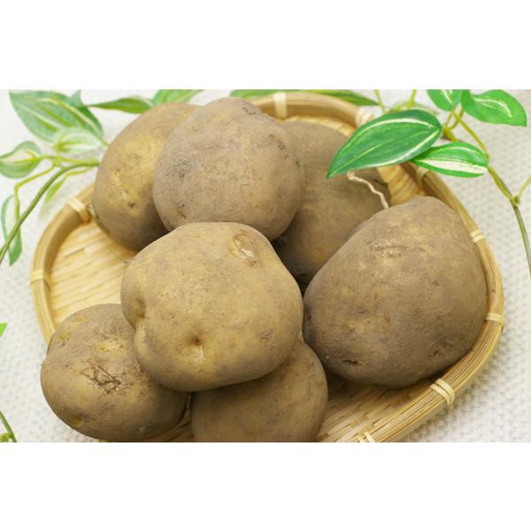 商品発送元：ハート.netshopフード・菓子男爵薯はデンプンが多くホクホクした食感のジャガイモです。無肥料・無農薬ですので、安心・安全はもとより、ジャガイモの味がしっかりと感じられます。コロッケやポテトサラダ、粉吹き芋、ジャガバターなんか...