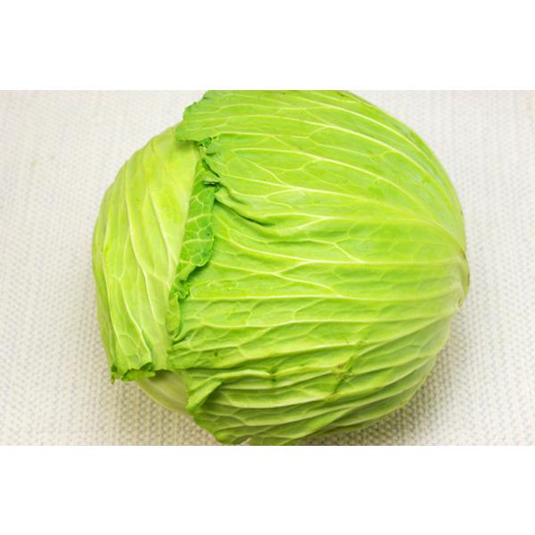 商品発送元：ハート.netshopフード・菓子葉っぱはしっかりとして、歯ごたえがあり、ロールキャベツなどの煮込み料理にもむきます。無肥料・自然栽培ですので、もちろん、嫌なエグミやにがみなどは一切なく、生のままの食べていただきますと、その自然...