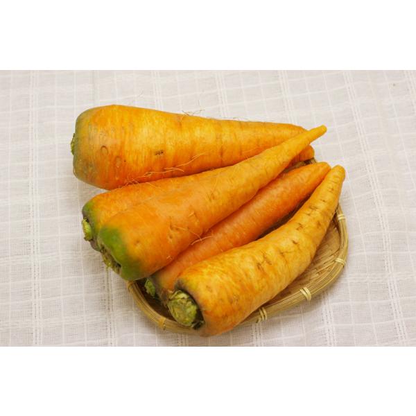商品発送元：ハート.netshopフード・菓子肥料もあたえられない、きびしい環境の中でも、たくましく育ったにんじんは、水分率があり、みずみずしくサッパリしています。 エグミやにんじん独特の生臭さがなく、にんじんジュースにおすすめ！もちろん、...