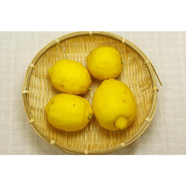 商品発送元：ハート.netshopフード・菓子見かけはいびつですが中身は昔ながらの国産レモンの酸味との甘さが楽しめます。無消毒ですので皮もマーマレード等に安心してお使いいただけます。          商品情報          商品名  ...