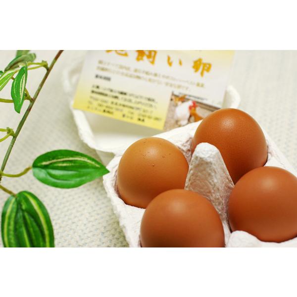 商品発送元：ハート.netshopフード・菓子本当の卵の色を知っています？      こがね卵（左）と市販の卵（右）      こがね卵を割って、一番最初に驚くのがその色です。普段目にする卵の黄身はオレンジ色をしているのに、こがね卵は、本当...