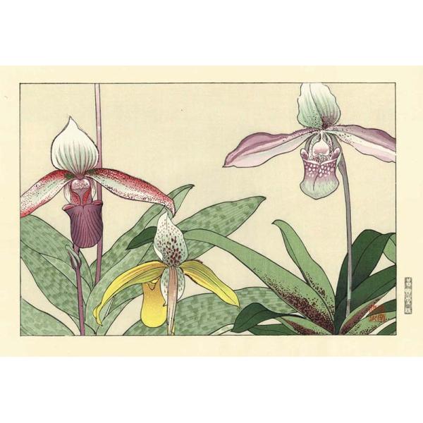 商品発送元：木版画 芸艸堂　Woodblock print UNSODOCypripediumおもちゃ・ホビー・ゲーム、アート・美術品・骨董品・民芸品、絵画、版画彩華　谷上廣南（1879〜1928）兵庫県西宮生まれ。画才を鈴木松年の高弟湯川...